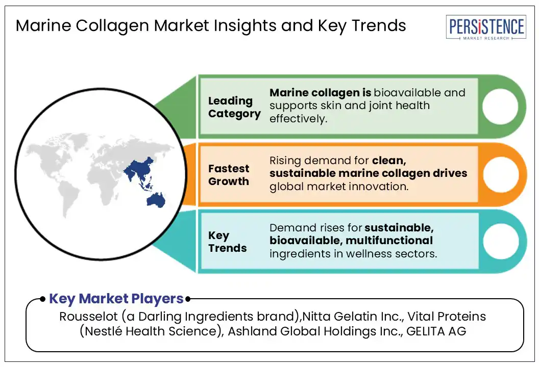Marine Collagen Market Size, Share & Growth Report, 2032